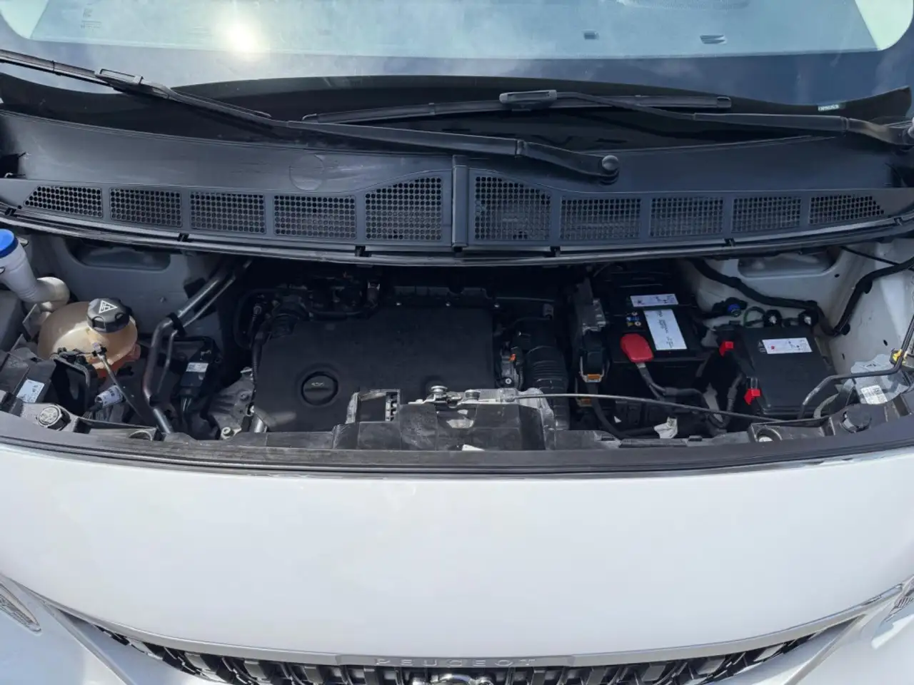 Renting Peugeot Expert DCb. Long 2.0BlueHDi S&S Eco Pro 120 Blanco ...